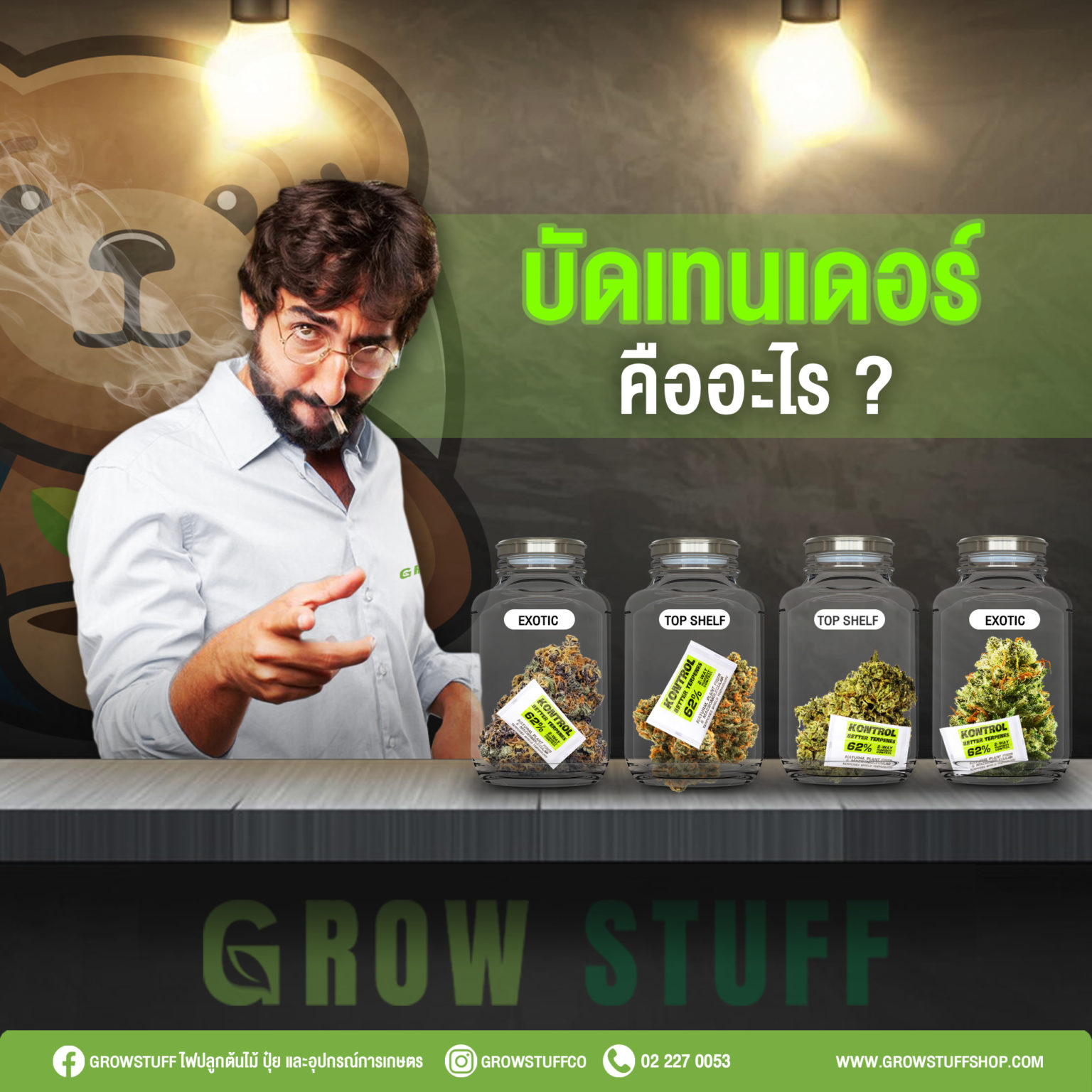 Budtender คืออาชีพอะไรในวงการกัญชา - GrowStuff Shop อุปกรณ์ปลูกต้นไม้