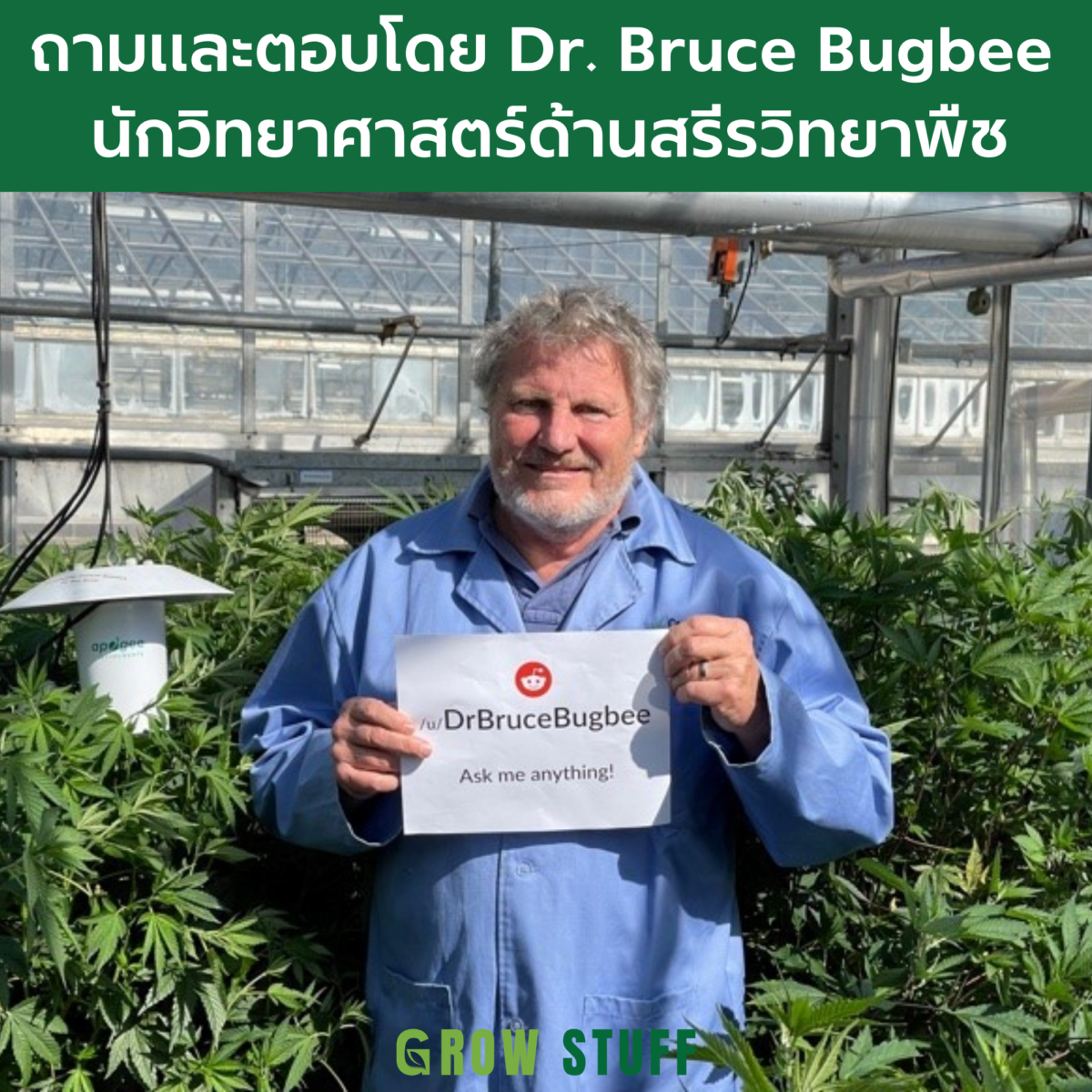 [Q&A] กัญชาออโต้ต้องการช่วงเวลากลางคืนไหม เปิดไฟตลอด 24 ชั่วโมงดีกว่า ...