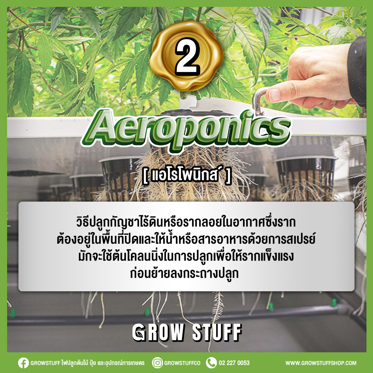 รวมคำศัพย์กัญชาภาษาอังกฤษที่สายเขียวควรรู้ [ตอนที่ 1] - GrowStuff Shop อุปกรณ์ปลูกต้นไม้