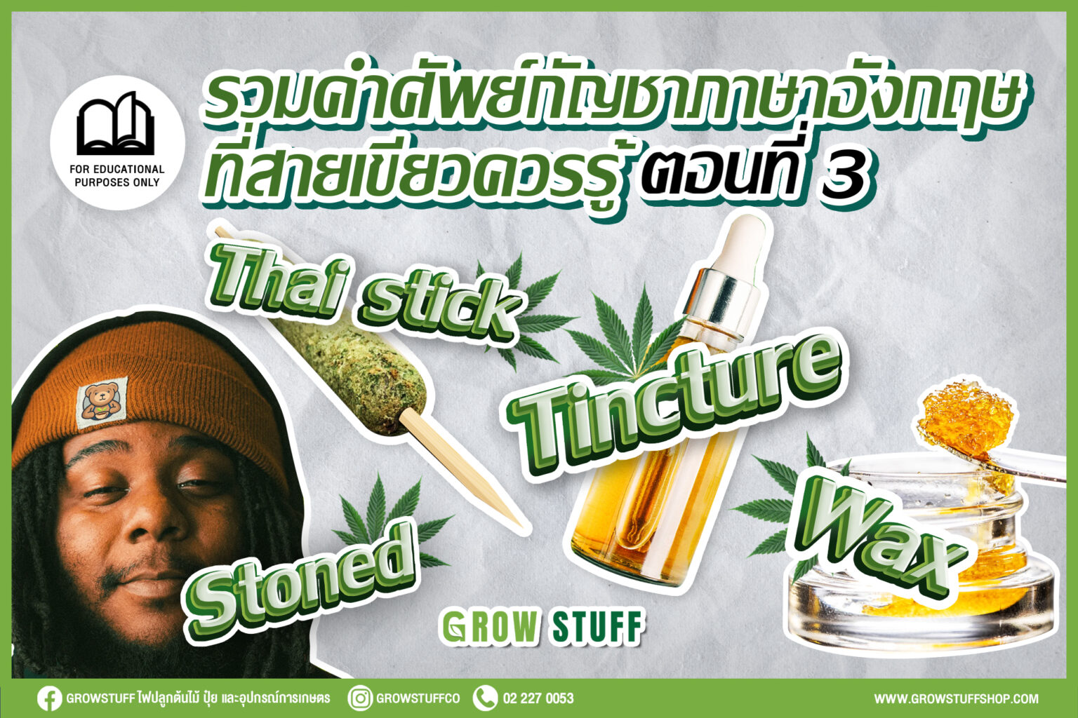คำศัพย์กัญชาภาษาอังกฤษเรียกว่าอะไรบ้างและคำศัพย์ที่สายเขียวควรรู้ [ตอนที่ 3] - GrowStuff Shop ...