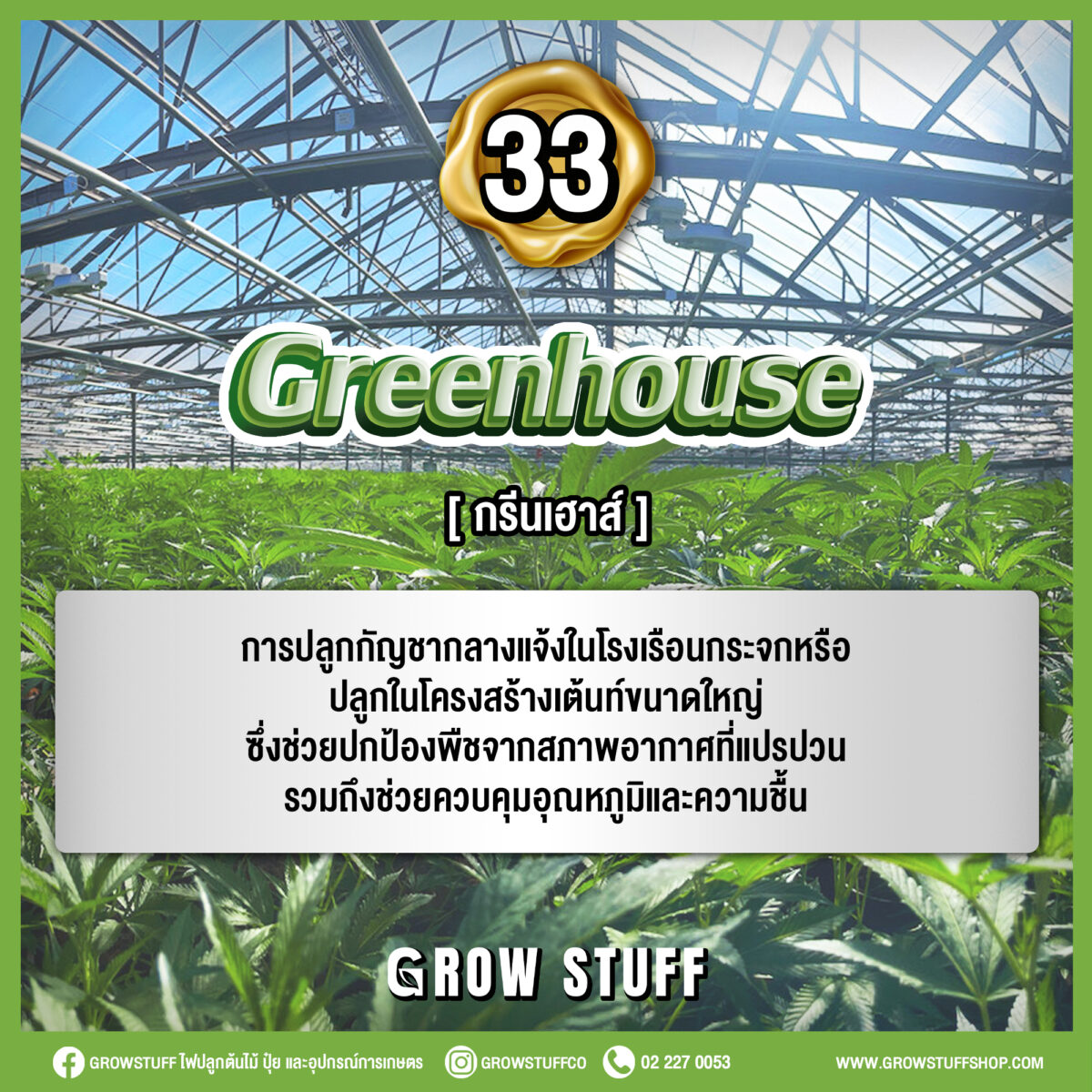 รวมคำศัพย์กัญชา ภาษาอังกฤษที่สายเขียวควรรู้ [ตอนที่ 2] - GrowStuff Shop อุปกรณ์ปลูกต้นไม้
