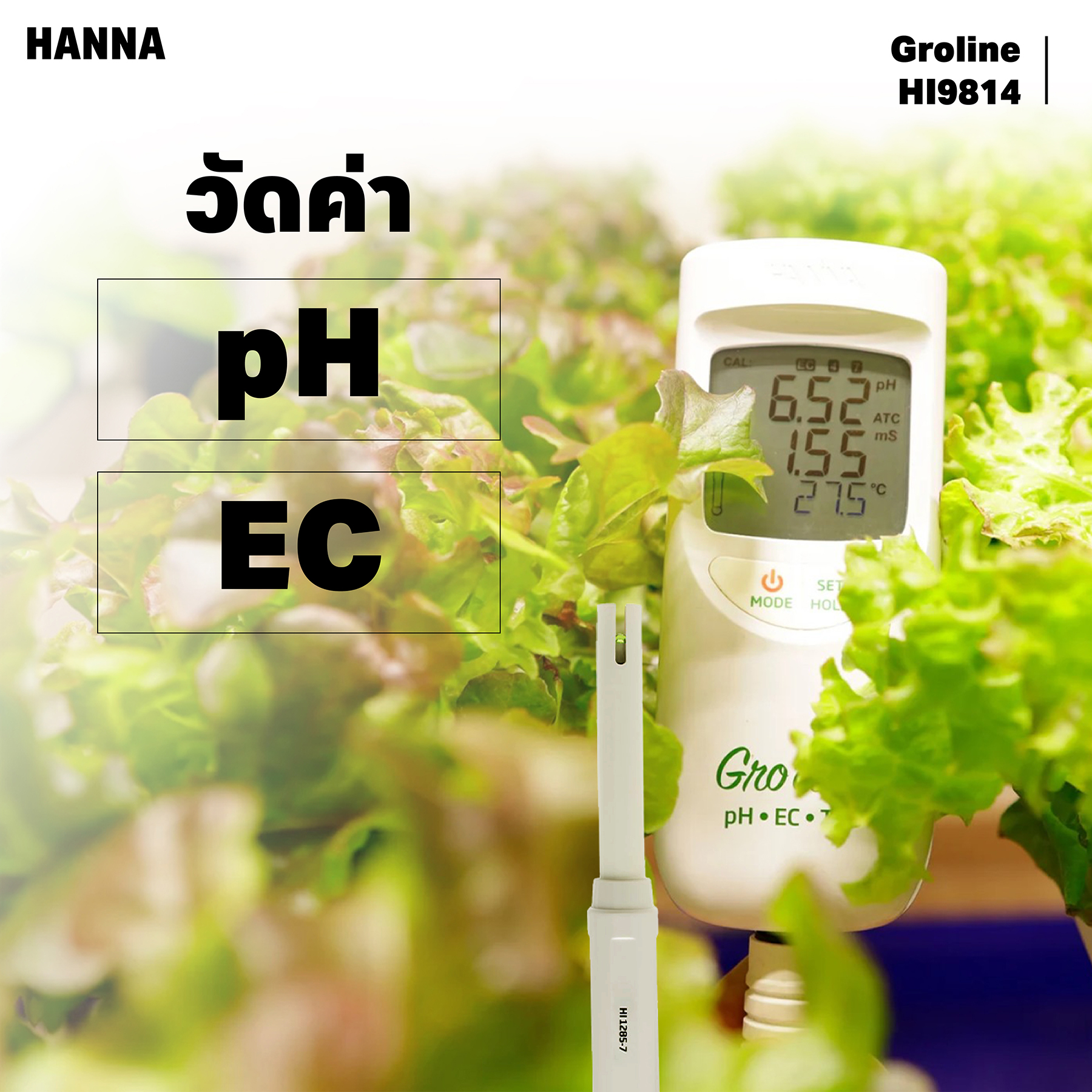HANNA GroLine HI9814 เครื่องวัดค่า pH/EC/TDS และอุณหภูมิระดับโรงเรือน - GrowStuff Shop อุปกรณ์ ...